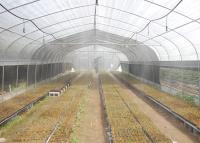 China 19.68' Climate Control Greenhouse PE Roof Height 6m With Ceiling Fan for sale