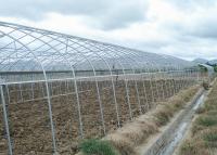 China Commercial Plastic Film Greenhouse Hydroponic Hot Dipped Galvanized Steel Structure for sale