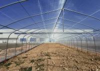 China Commercial Plastic Film Greenhouse Hydroponic Hot Dipped Galvanized Steel Structure for sale