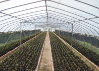China Small Scale Farming Single Span Greenhouse Customize Plastic Film Greenhouse for sale