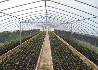 China Small Scale Farming Single Span Greenhouse Customize Plastic Film Greenhouse for sale