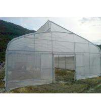 China 275gsm Zinc Coated Steel Pipe Greenhouse With Agricultural Plastic Film for sale