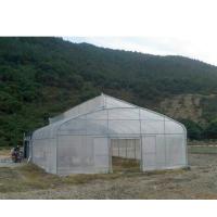 China 275gsm Zinc Coated Steel Pipe Greenhouse With Agricultural Plastic Film for sale