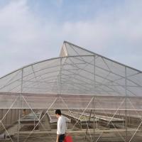 China 200micron Single Span Greenhouse Agricultural Tropical Climate Greenhouse for sale