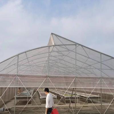 China 200micron Single Span Greenhouse Agricultural Tropical Climate Greenhouse for sale