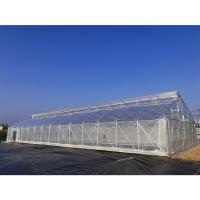 China 200micron Single Span Greenhouse Agricultural Tropical Climate Greenhouse for sale