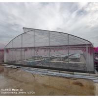 China Durable Hot Dipped Galvanized Steel Structure Greenhouses for Tomato Lettuce and Pepper for sale