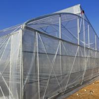 China Durable Hot Dipped Galvanized Steel Structure Greenhouses for Tomato Lettuce and Pepper for sale