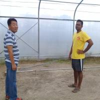China Agriculture Single Span Greenhouse Easy Installation Galvanized Steel Greenhouse for sale