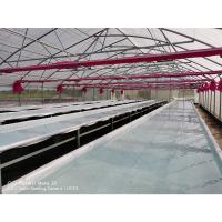China Agriculture Single Span Greenhouse Easy Installation Galvanized Steel Greenhouse for sale