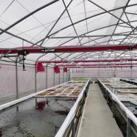 China Agriculture Single Span Greenhouse Easy Installation Galvanized Steel Greenhouse for sale