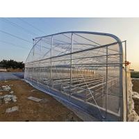 China Agriculture Single Span Greenhouse Easy Installation Galvanized Steel Greenhouse for sale