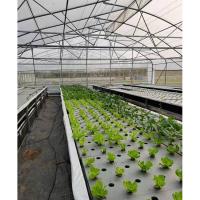 China Durable Hot Dipped Galvanized Steel Structure Greenhouses for Tomato Lettuce and Pepper for sale
