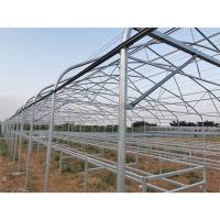 China Strong Frame Greenhouse with Hot Dipped Galvanized Steel Structure and Film Cover for sale