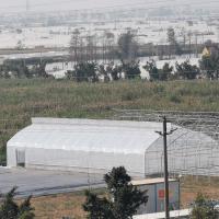China Strong Frame Greenhouse with Hot Dipped Galvanized Steel Structure and Film Cover for sale