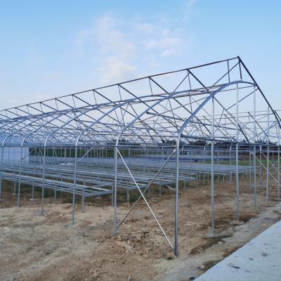 China Strong Frame Greenhouse with Hot Dipped Galvanized Steel Structure and Film Cover for sale