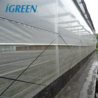 China Multi-Span Agricultural Greenhouses Hot Climate Cover with 150/200micron Plastic Film for sale