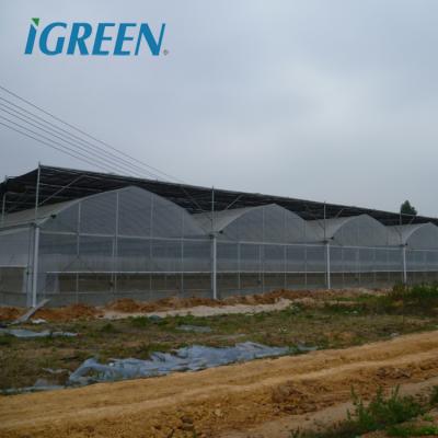China Multi-Span Agricultural Greenhouses Hot Climate Cover with 150/200micron Plastic Film for sale
