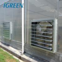 China Tomato Growing Agricultural Equipment Roof Vent Free Multi Span Greenhouse for sale