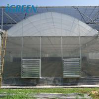 China Tomato Growing Agricultural Equipment Roof Vent Free Multi Span Greenhouse for sale