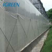 China Tomato Growing Agricultural Equipment Roof Vent Free Multi Span Greenhouse for sale