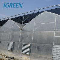 China Tomato Growing Agricultural Equipment Roof Vent Free Multi Span Greenhouse for sale