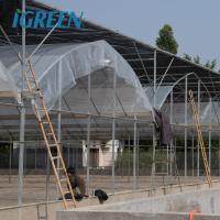 China Multi-Span Agricultural Greenhouses Hot Climate Cover with 150/200micron Plastic Film for sale
