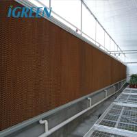 China IGreen Agricultural Greenhouses Large Panda Film Greenhouse Suitable for All Climates for sale