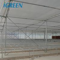 China IGreen Agricultural Greenhouses Large Panda Film Greenhouse Suitable for All Climates for sale
