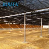 China IGreen Agricultural Greenhouses Large Panda Film Greenhouse Suitable for All Climates for sale