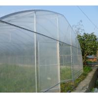 China Garden Single Tunnel Greenhouse Eco Friendly Film type For Crop Production for sale