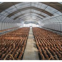 China 32mm Pipe Diameter Vegetable Green House Customized For Optimal Growth Conditions for sale