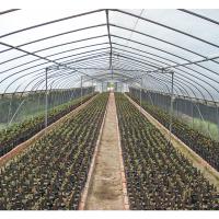 China 32mm Pipe Diameter Vegetable Green House Customized For Optimal Growth Conditions for sale