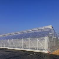 China Film Covered Greenhouse Hydroponics System Agricultural DWC Hydroponics System for sale