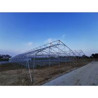 China Film Covered Greenhouse Hydroponics System Agricultural DWC Hydroponics System for sale