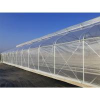 China Film Covered Greenhouse Hydroponics System Agricultural DWC Hydroponics System for sale