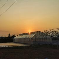 China UV Resistant Single Span Greenhouse 200 Micron Plastic Film Long Lasting for sale
