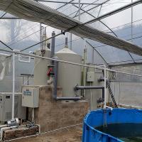 China Aquaponics Growing Greenhouse Hydroponics System Automatic Watering Vertical Nft Hydroponics Growing System for sale