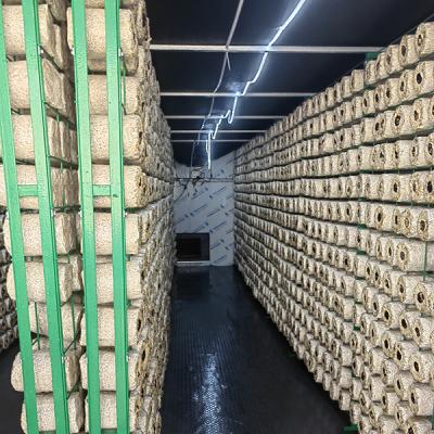 China Mushroom Growing Multi Layer Greenhouse Insulation Board Mushroom Growing Kit for sale