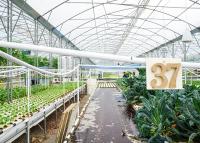 China DWC deep water culture Hydroponics System Vertical Hydroponic For Agriculture for sale
