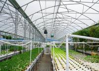 China DWC deep water culture Hydroponics System Vertical Hydroponic For Agriculture for sale