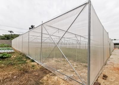 China Multi Span Shade Net Greenhouse Rustproof For Strawberry And Mushroom for sale
