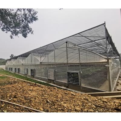 China Hot Dipped Galvanized Steel Pipe Greenhouse Vent for Open Ventilation and Ridge Roof for sale