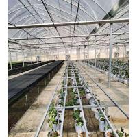 China Hot Dipped Galvanized Steel Pipe Greenhouse Vent for Open Ventilation and Ridge Roof for sale