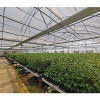 China Hot Dipped Galvanized Steel Pipe Greenhouse Vent for Open Ventilation and Ridge Roof for sale