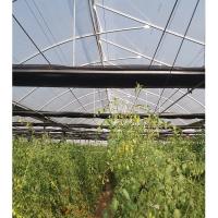 China Hot Dipped Galvanized Steel Pipe Greenhouse Vent for Open Ventilation and Ridge Roof for sale