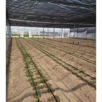 China Hot Dipped Galvanized Steel Pipe Greenhouse Vent for Open Ventilation and Ridge Roof for sale
