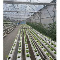 China Vegetable Cultivation Plastic Tunnel Greenhouse 12m Width Single Layer for sale