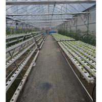 China Vegetable Cultivation Plastic Tunnel Greenhouse 12m Width Single Layer for sale