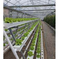 China 2-5m Shoulder Height High Tunnel Sawtooth Greenhouse for Commercial Plant Cultivation for sale